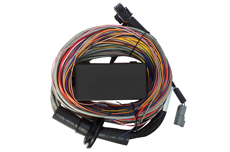 Haltech HT-140604 - Elite 750 Premium Universal Wire-In Harness - 2.5m ...